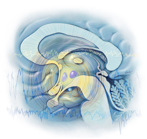 Alex Webber - Medical & Scientific Illustrator, USA