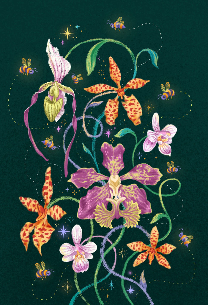 Alyssa De Asis - Children’s Book Illustrator & Graphic Designer ...