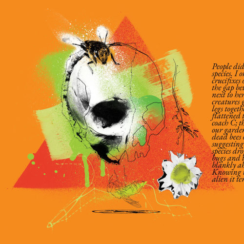 Ben Tallon - Hand drawn, Organic illustrator, Manchester