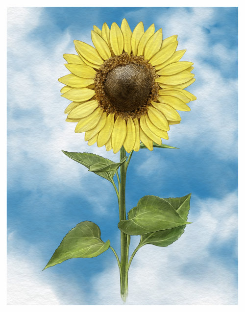 德娜•库珀 - Fashion, Beauty & Lifestyle Illustrator - New York