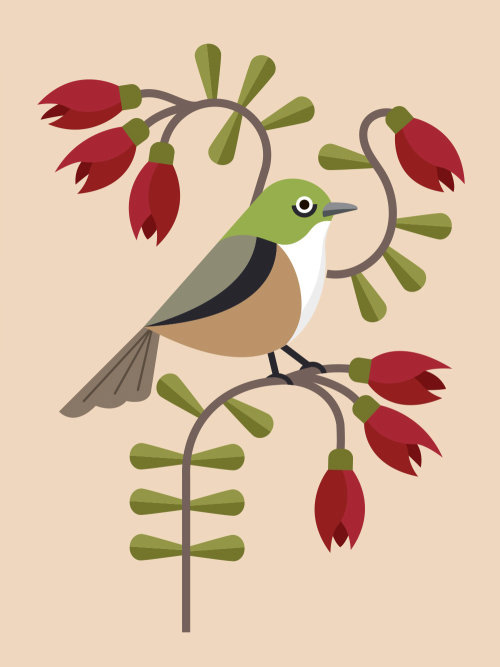 Greg Straight - Illustrator & Graphic Designer, New Zealand