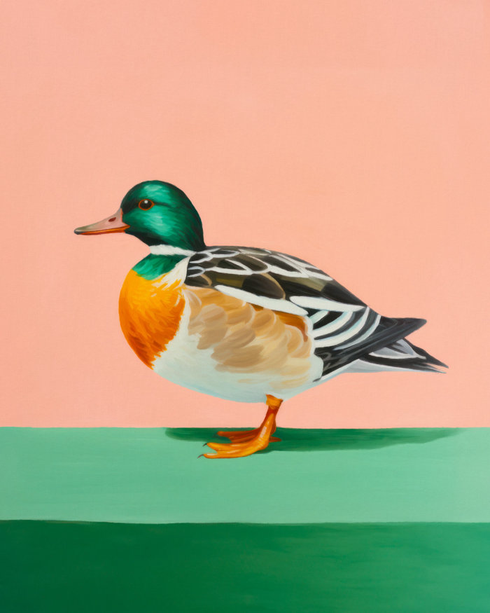 Heather Landis - Vintage & collage Illustrator, USA
