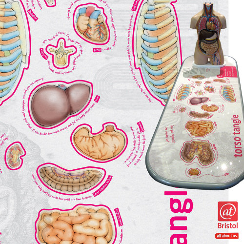 Juliet Percival - Medical & Scientific Illustrator, UK