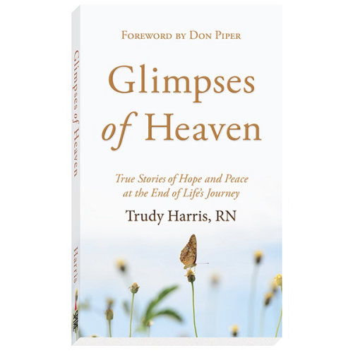 Juno Rose - Portrait & Graphic Illustrator, USA