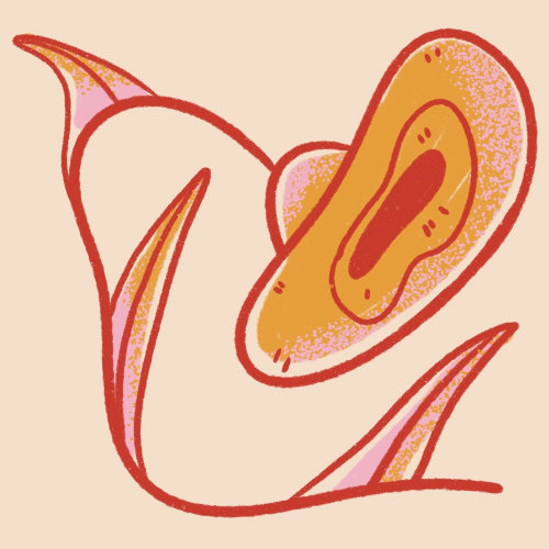 Juno Rose - Portrait & Graphic Illustrator, USA