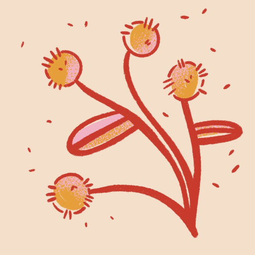 Juno Rose - Portrait & Graphic Illustrator, USA