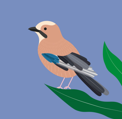 IllustrationX - Kate Snell portfolio