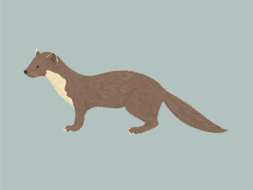 IllustrationX - Kate Snell portfolio