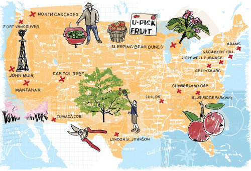 Kavel Rafferty Illustration Portfolio