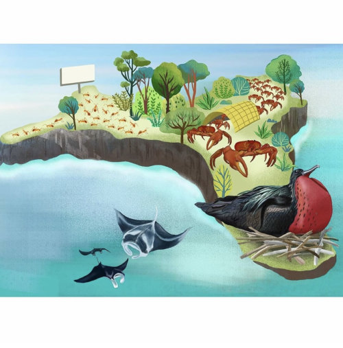 Li Zhang - Portrait & Maps Illustrator, New York