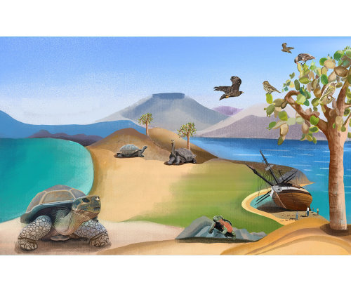 Li Zhang - Portrait & Maps Illustrator, New York