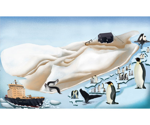 Li Zhang - Portrait & Maps Illustrator, New York