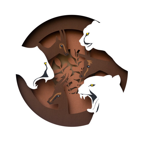 Paper Cut Artist, Martha von Maydell's Illustration Portfolio