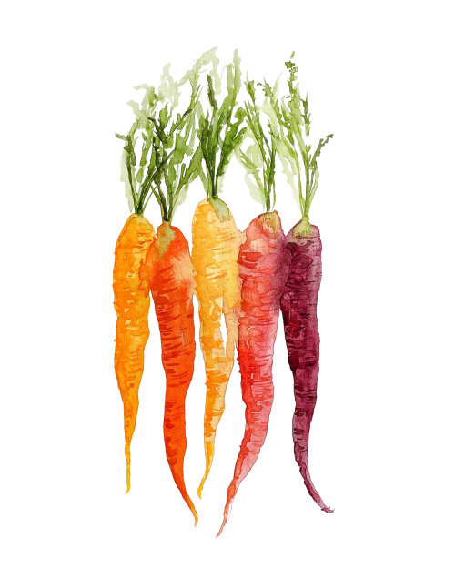 Peggy Dean - Lettering Artist & Botanical Floral Illustrator, Portland