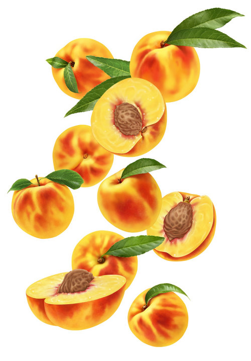 Steinar Lund Illustrator - Editorial, Food Packaging and Publishing