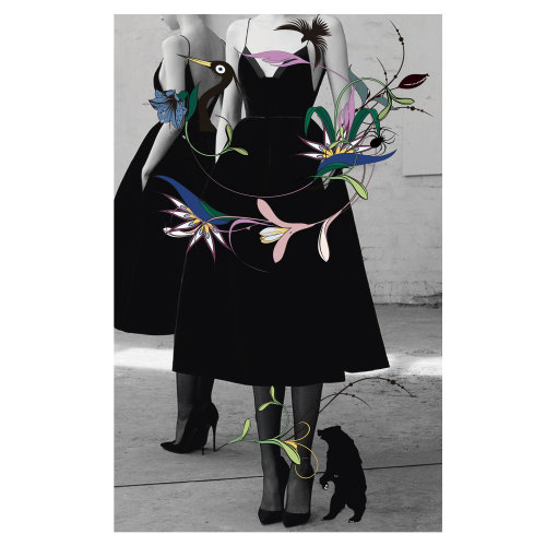 Nadia Flower - Graphic And Decorative Artist