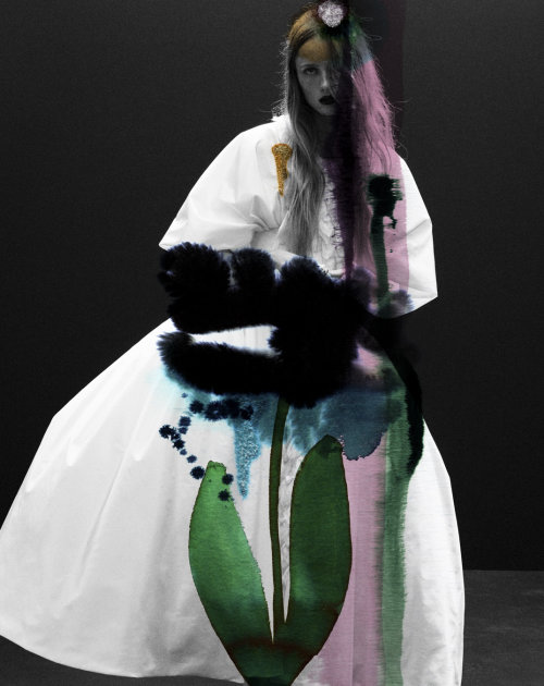 Nadia Flower - Graphic And Decorative Artist