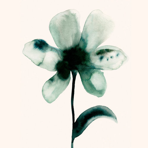 Nadia Flower - Graphic And Decorative Artist