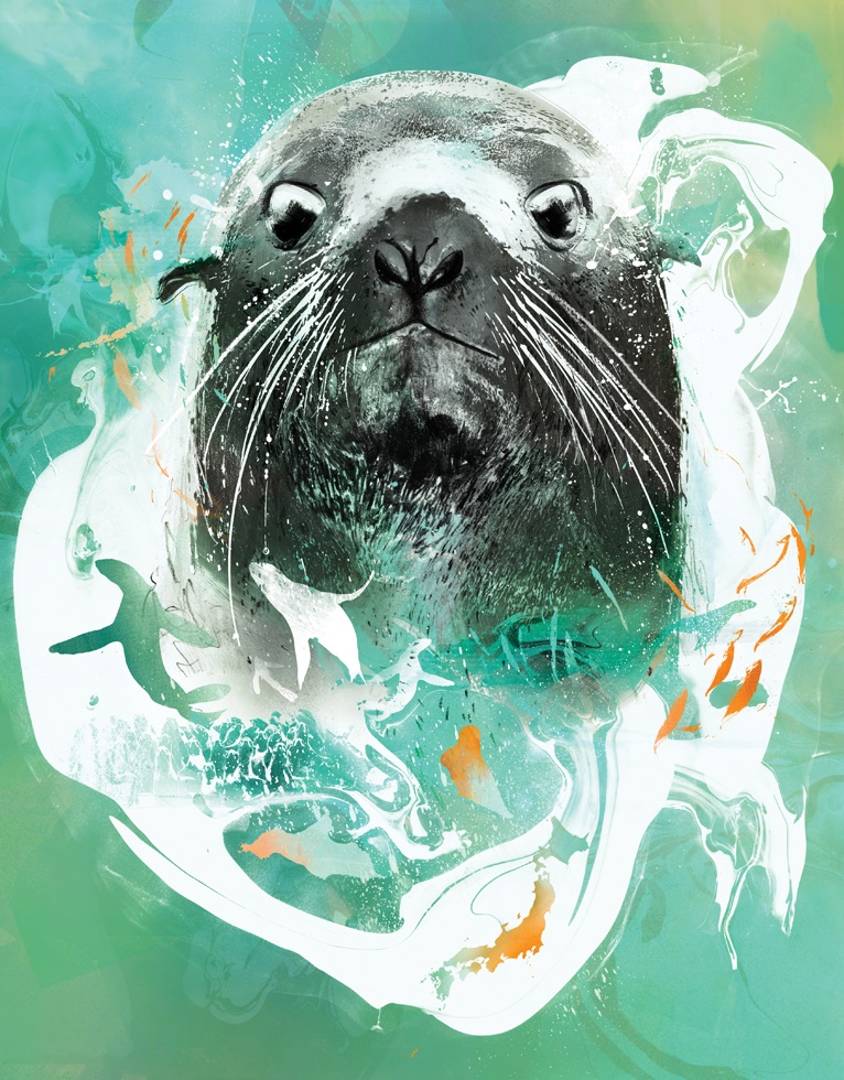 Seattle's Fur Seal
