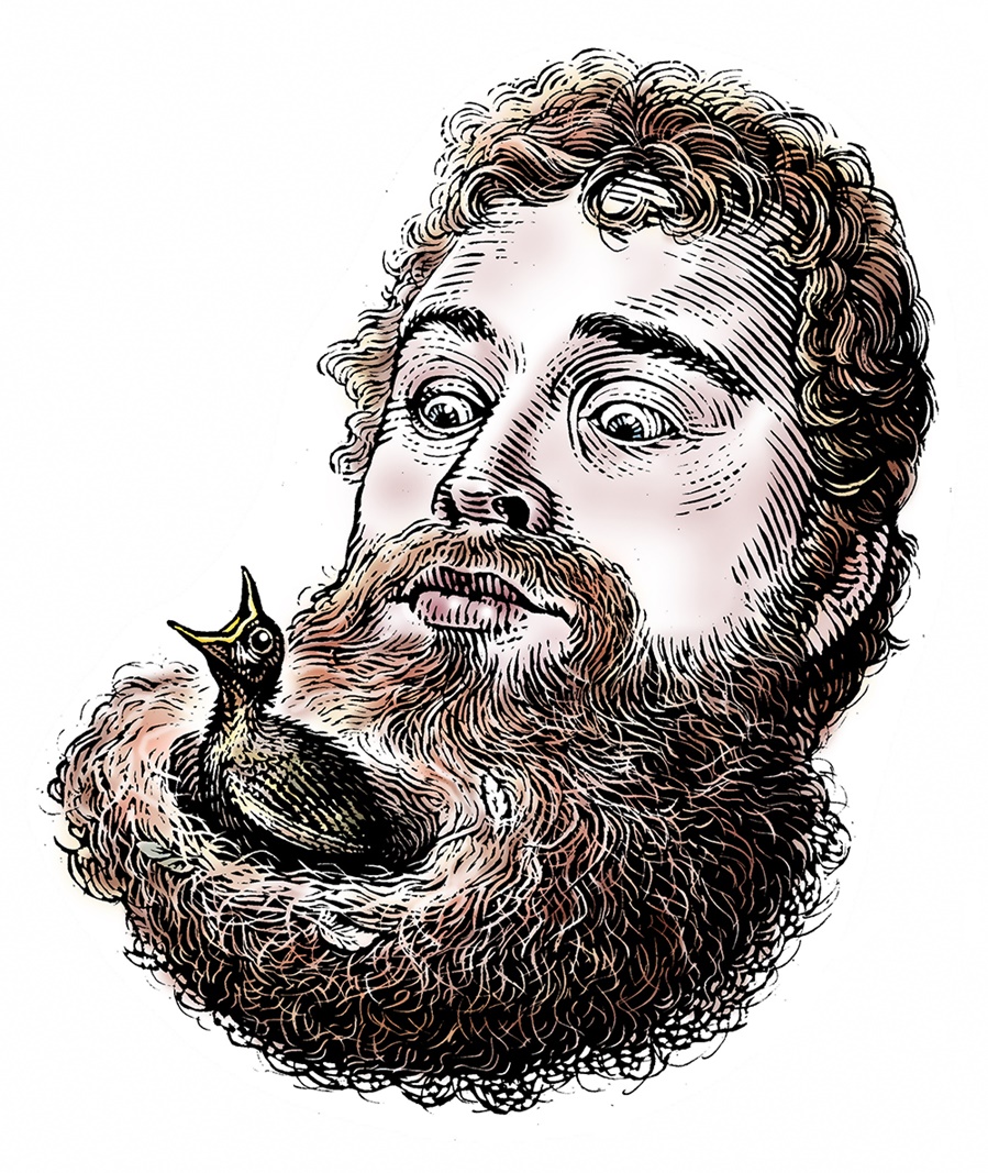 Illustrator Profile - Caroline Church