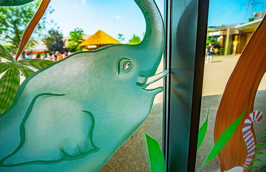 Chester Zoo Mural